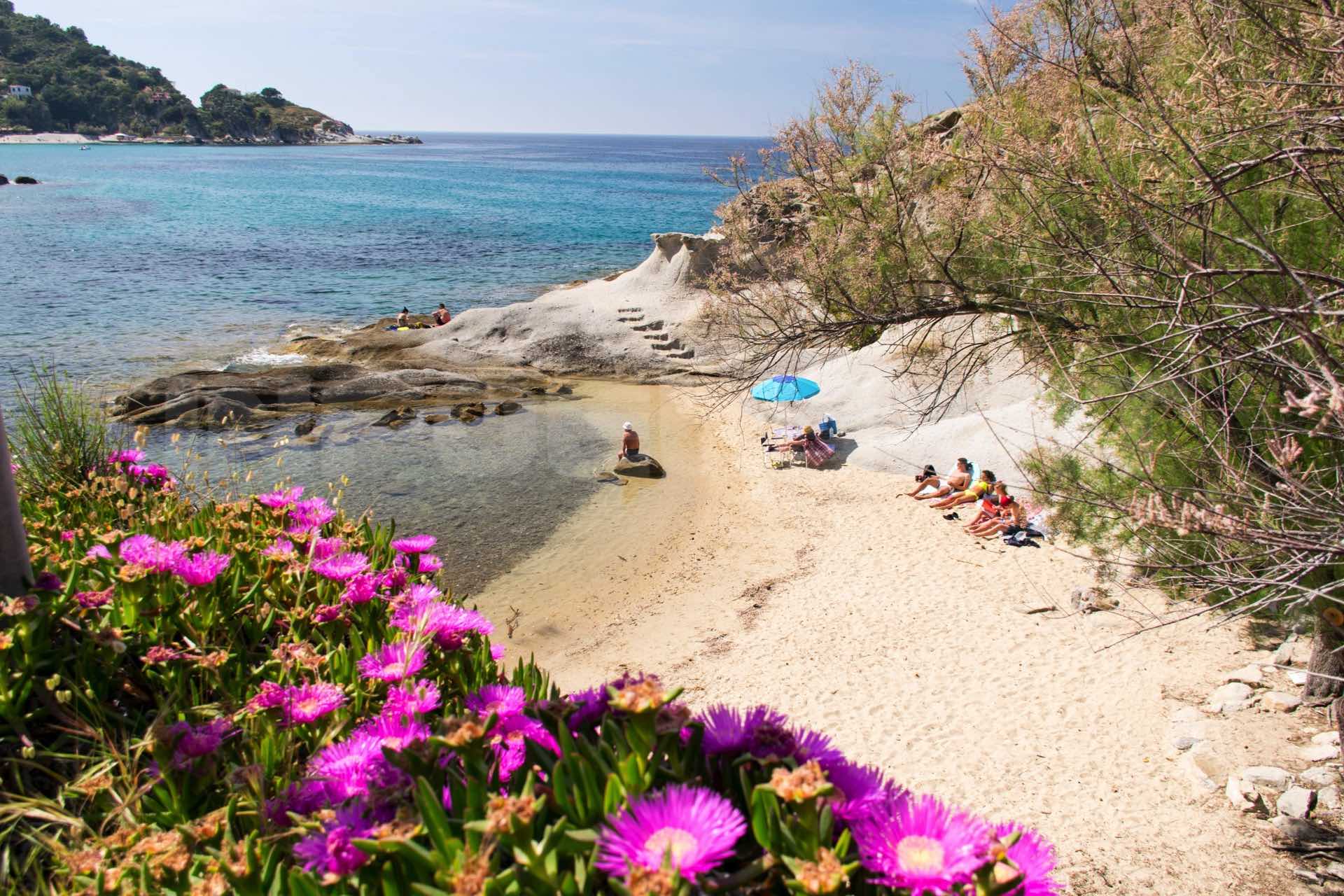 Consigli per le vacanze all'Isola d'Elba - I Love Elba! Consigli per le vacanze all'Isola d'Elba - I Love Elba!